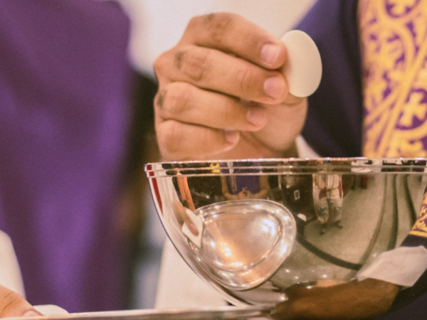 Nossa Senhora do Livramento - Art Divina