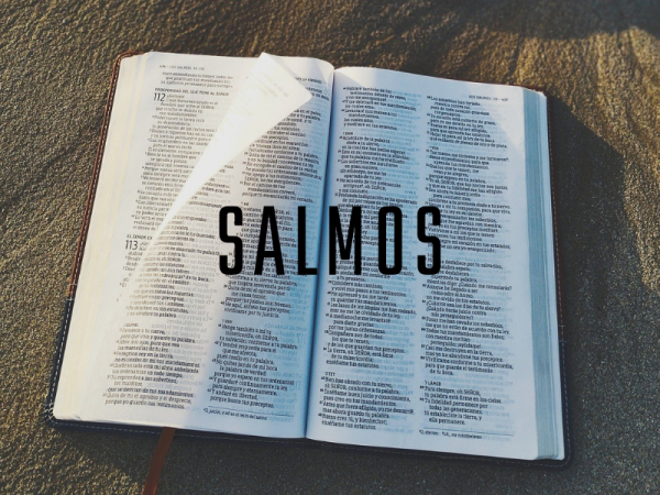 Salmos: A Poderosa Fonte de Conforto e Inspiração - Art Divina